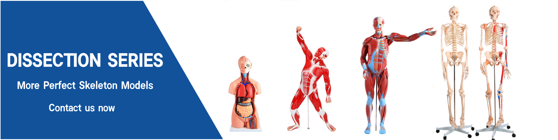 Upper-arm Intramuscular Injection and comparison Simulator (with ...